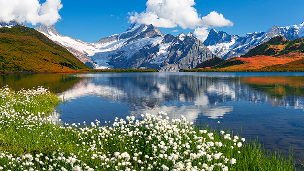 Strauss Alpine Symphony | Cincinnati Symphony Orchestra