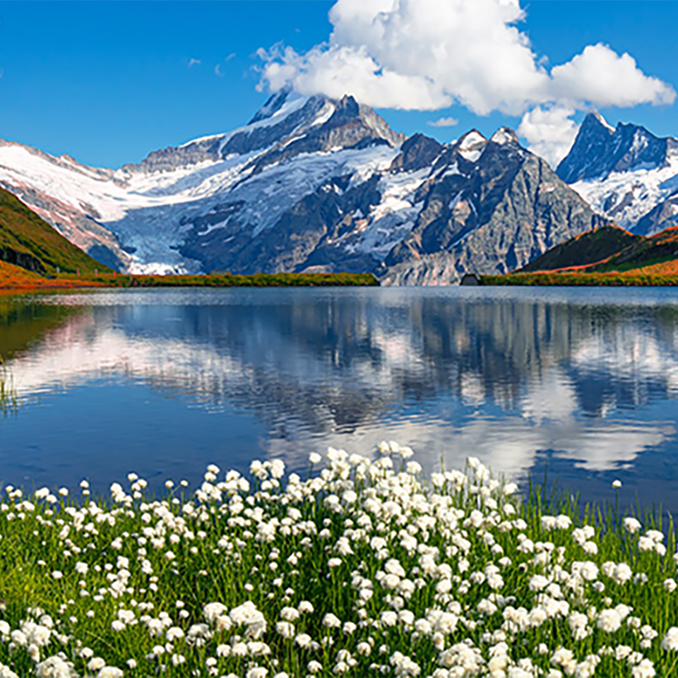 24/25 Season | Cincinnati Symphony Orchestra