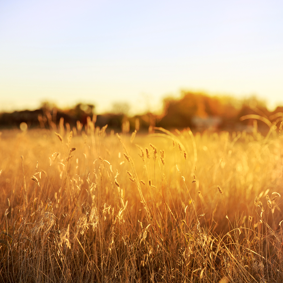 24/25 Season | Cincinnati Symphony Orchestra