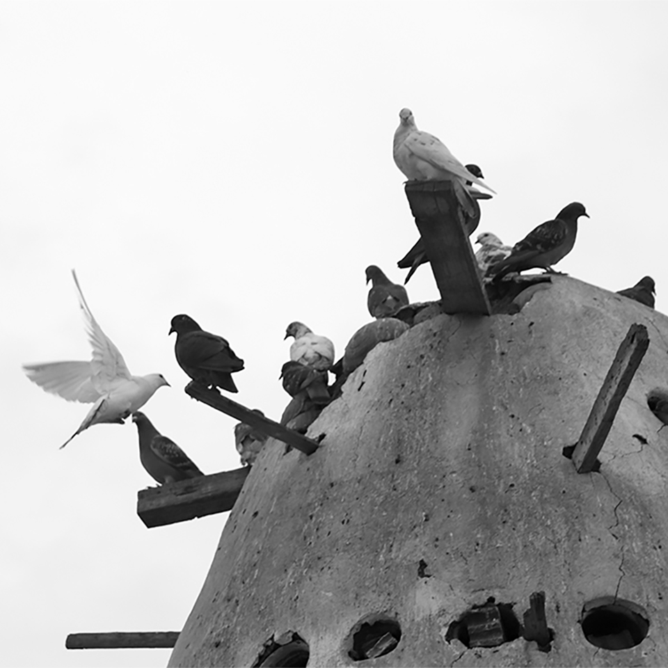 Season at a Glance | CSO